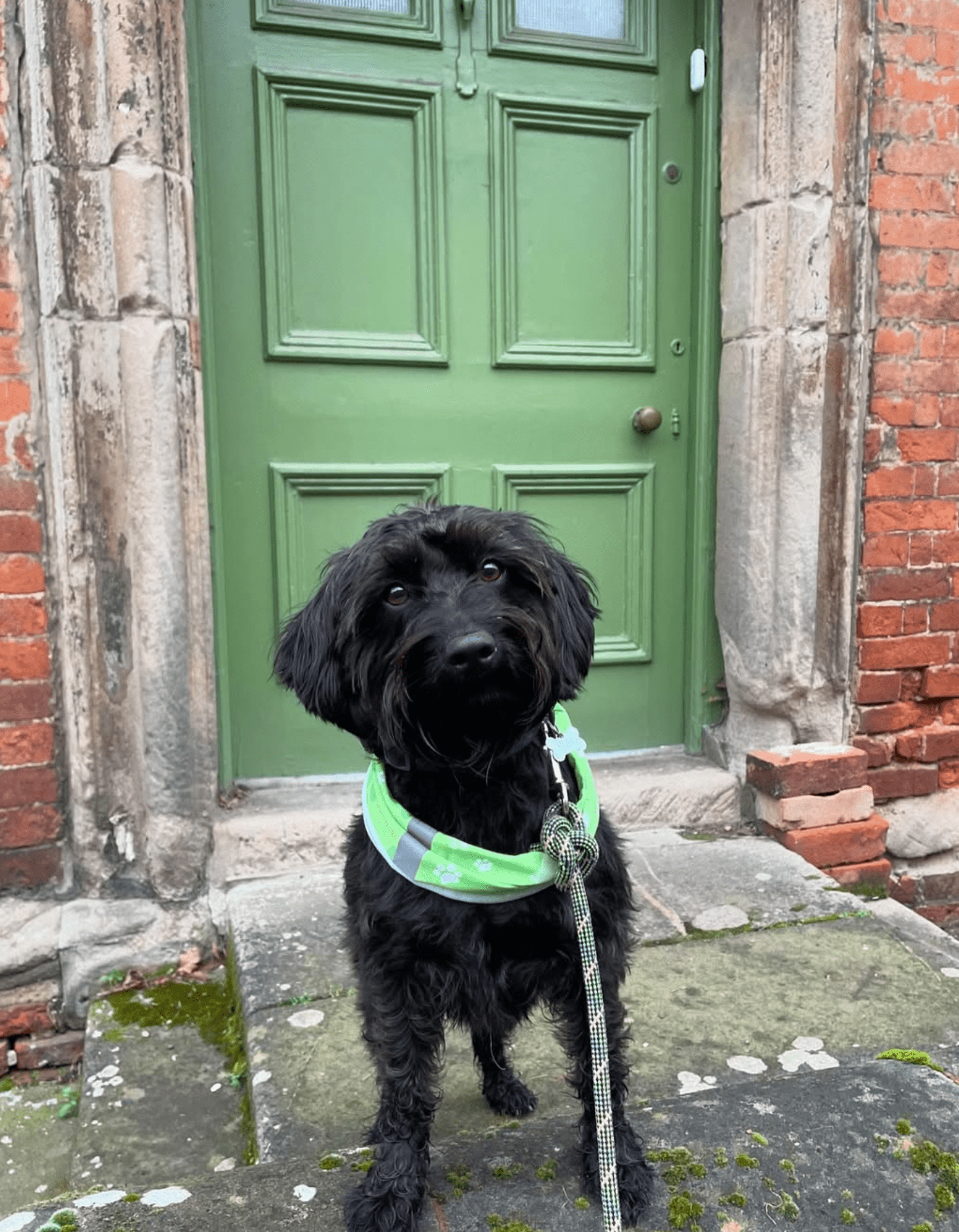 National Trust Pooch Passport Extended – More Dog-Friendly Adventures ...